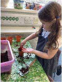 School Year 1 | Crompton Primary School